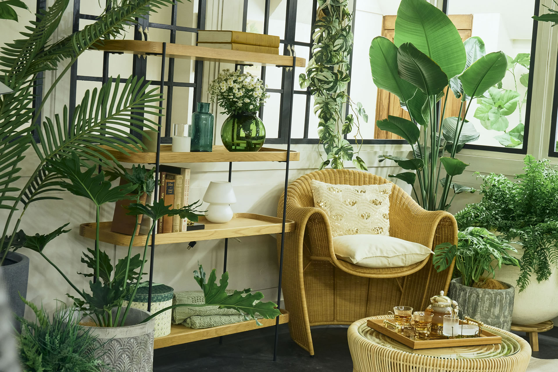 撮影スタジオ - Studio VEGA（スタジオ・ベガ）